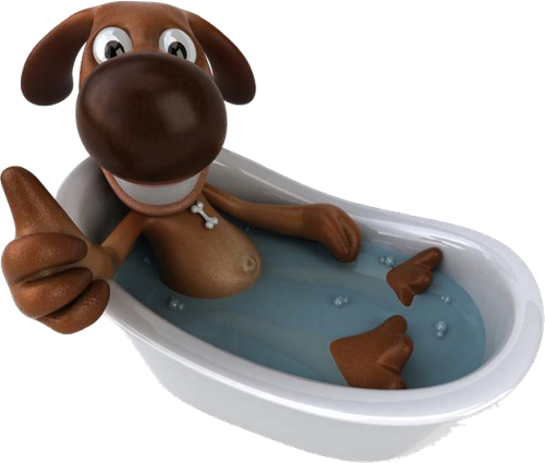 Dog Grooming Service Eastbourne | Muddy Mutts